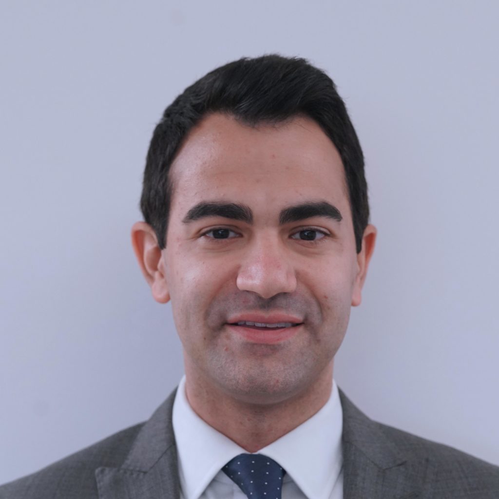 Europe and Trump's National Security Strategy - Quincy Institute for ...